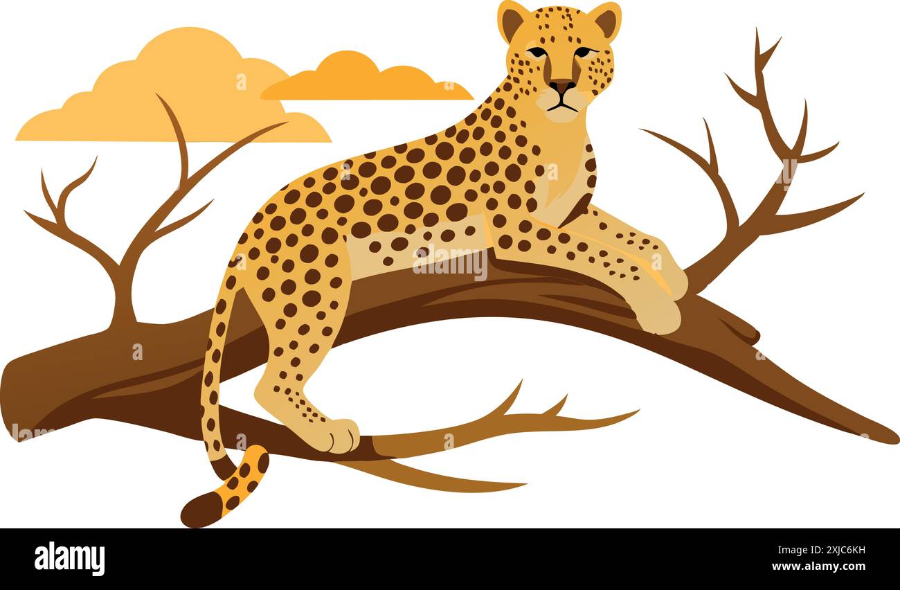 Cheetah climbing Cut Out Stock Images & Pictures - Alamy
