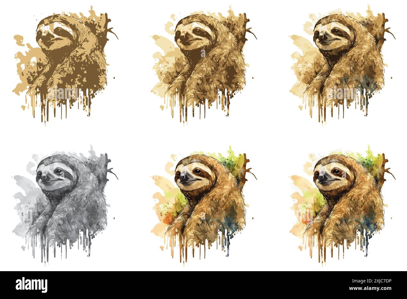 Sloth Watercolor Vector Illustration Stock Vector Image & Art - Alamy