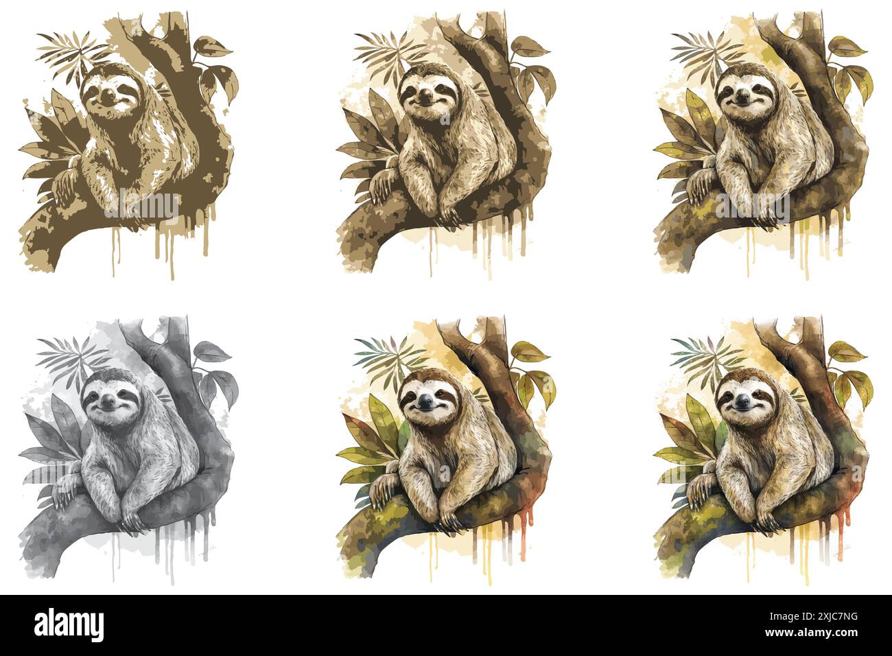 Sloth Watercolor Vector Illustration Stock Vector Image & Art - Alamy