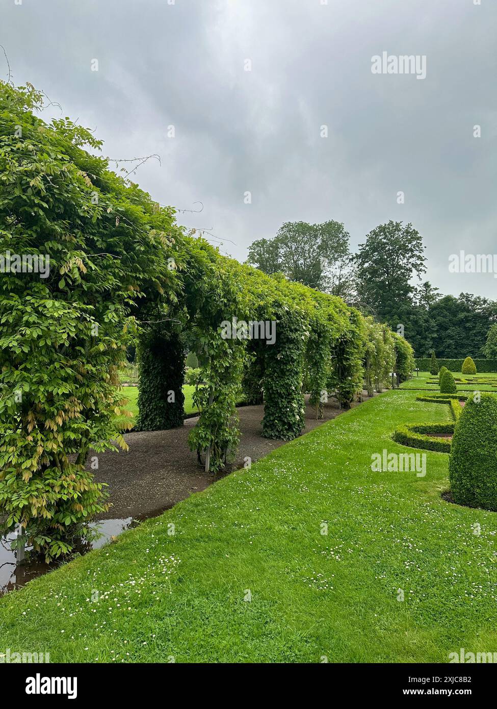 Tunnel made of plants and pathway in park Stock Photo - Alamy