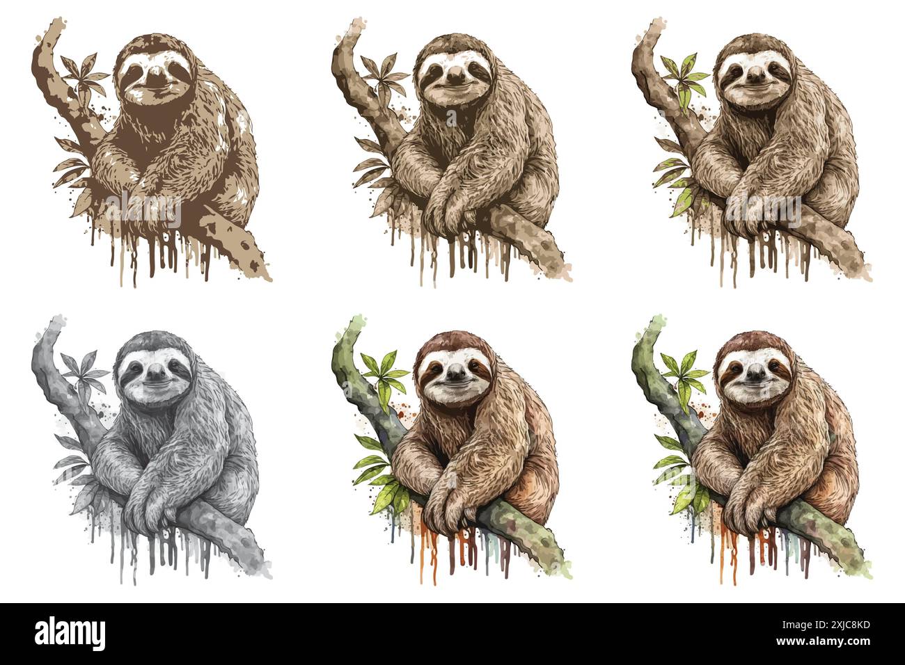 Sloth Watercolor Vector Illustration Stock Vector Image & Art - Alamy