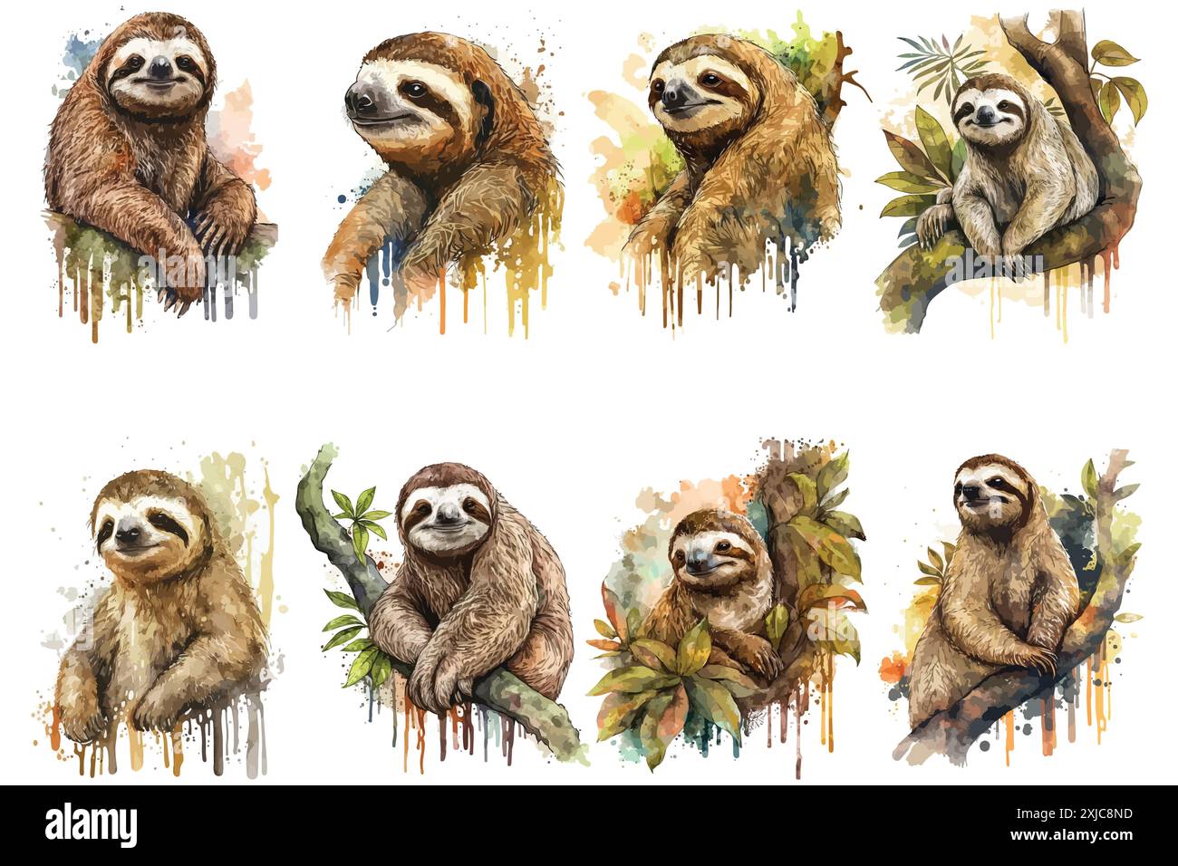 Sloth Watercolor Vector Illustration Stock Vector Image & Art - Alamy