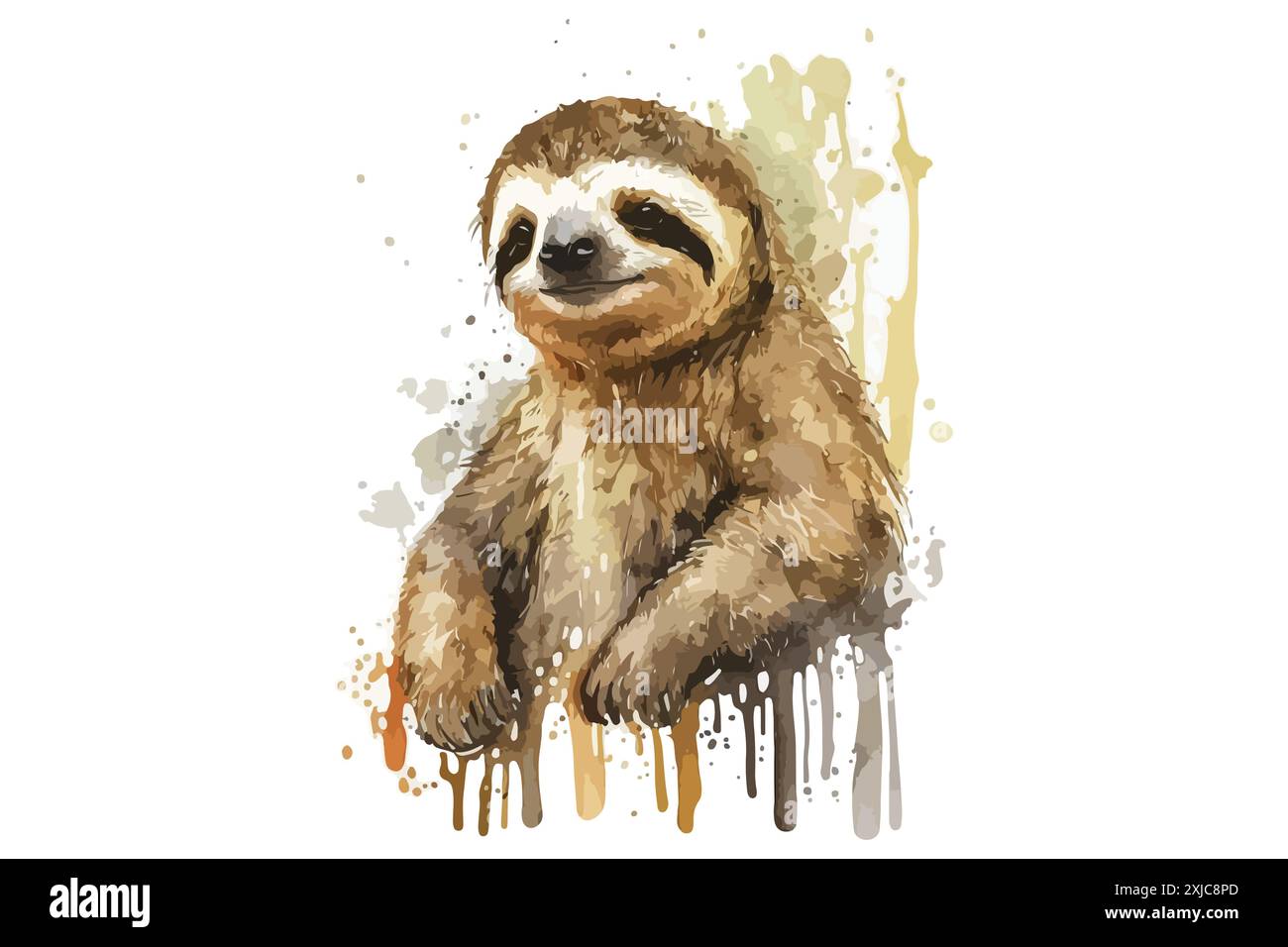 Sloth Watercolor Vector Illustration Stock Vector Image & Art - Alamy