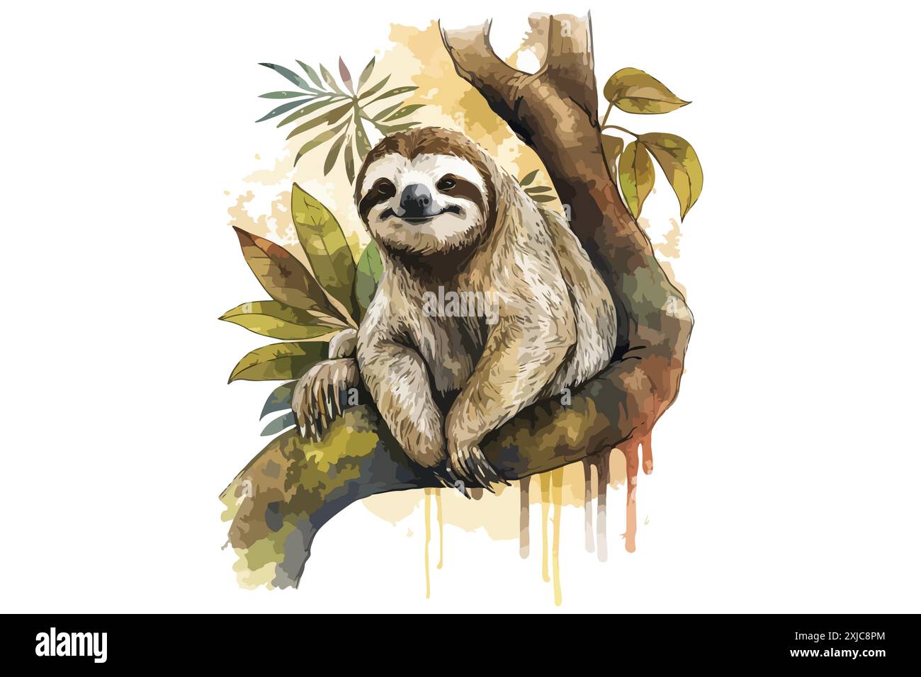 Sloth endangered species Stock Vector Images - Alamy