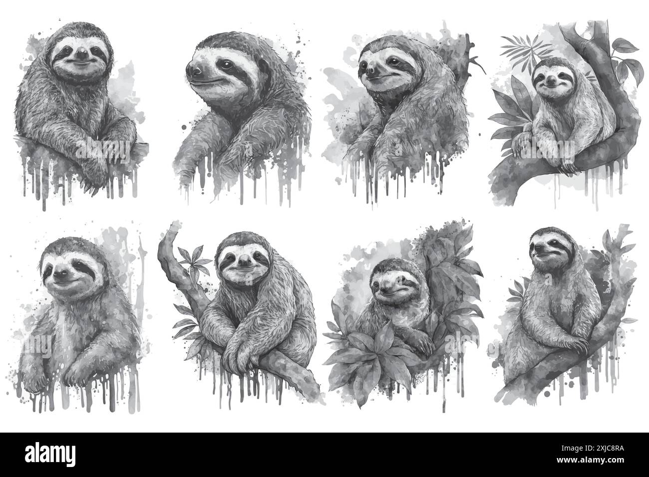 Watercolor vector illustration gift Black and White Stock Photos ...