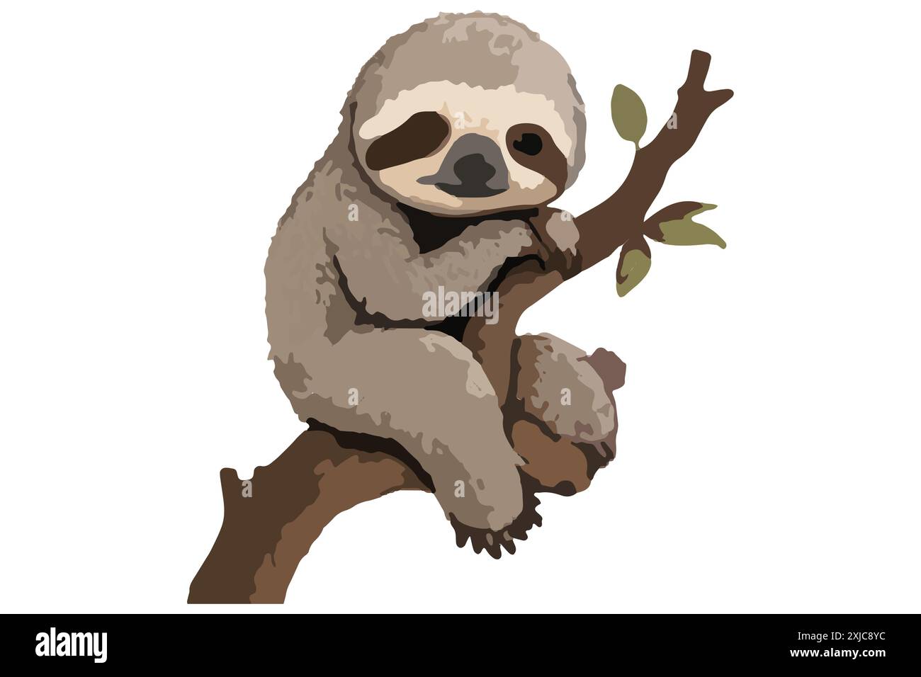 Sloth Baby Vector Illustration Stock Vector Image & Art - Alamy