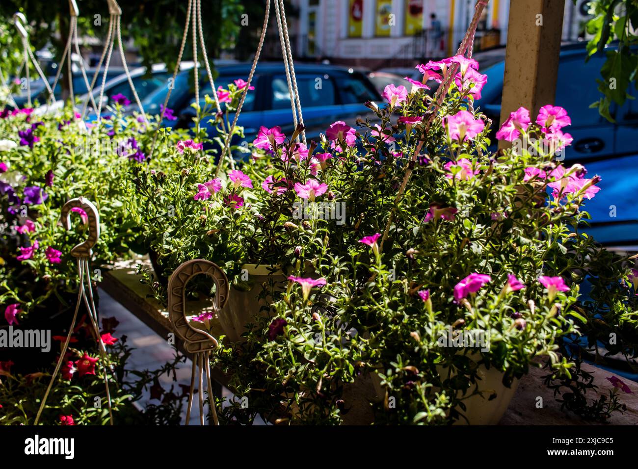 Odessa, Ukraine, July 17, 2024 Flower shop in the center of Odessa ...