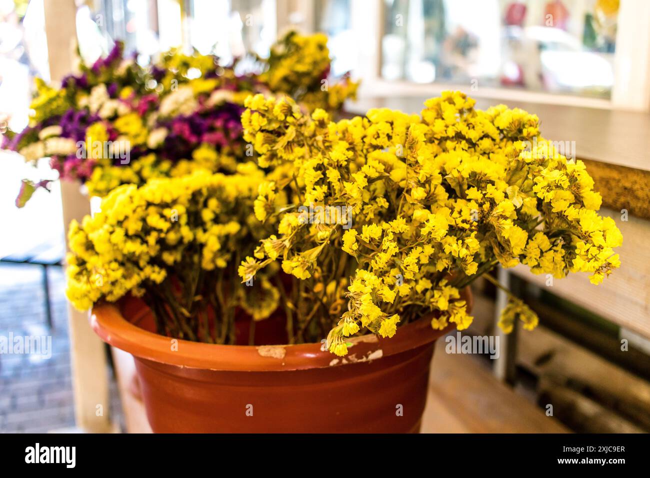 Odessa, Ukraine, July 17, 2024 Flower shop in the center of Odessa ...