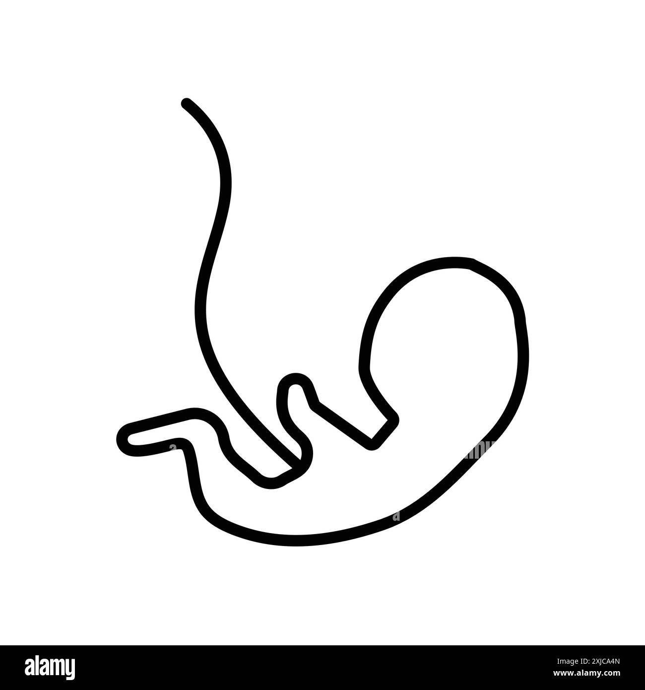 Embryo Child icon Flat set in black and white color outline vector Stock Vector Image & Art - Alamy