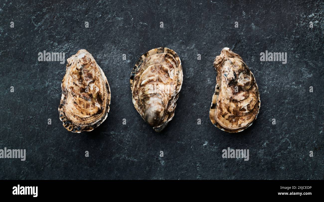 Unopened oysters hi-res stock photography and images - Alamy