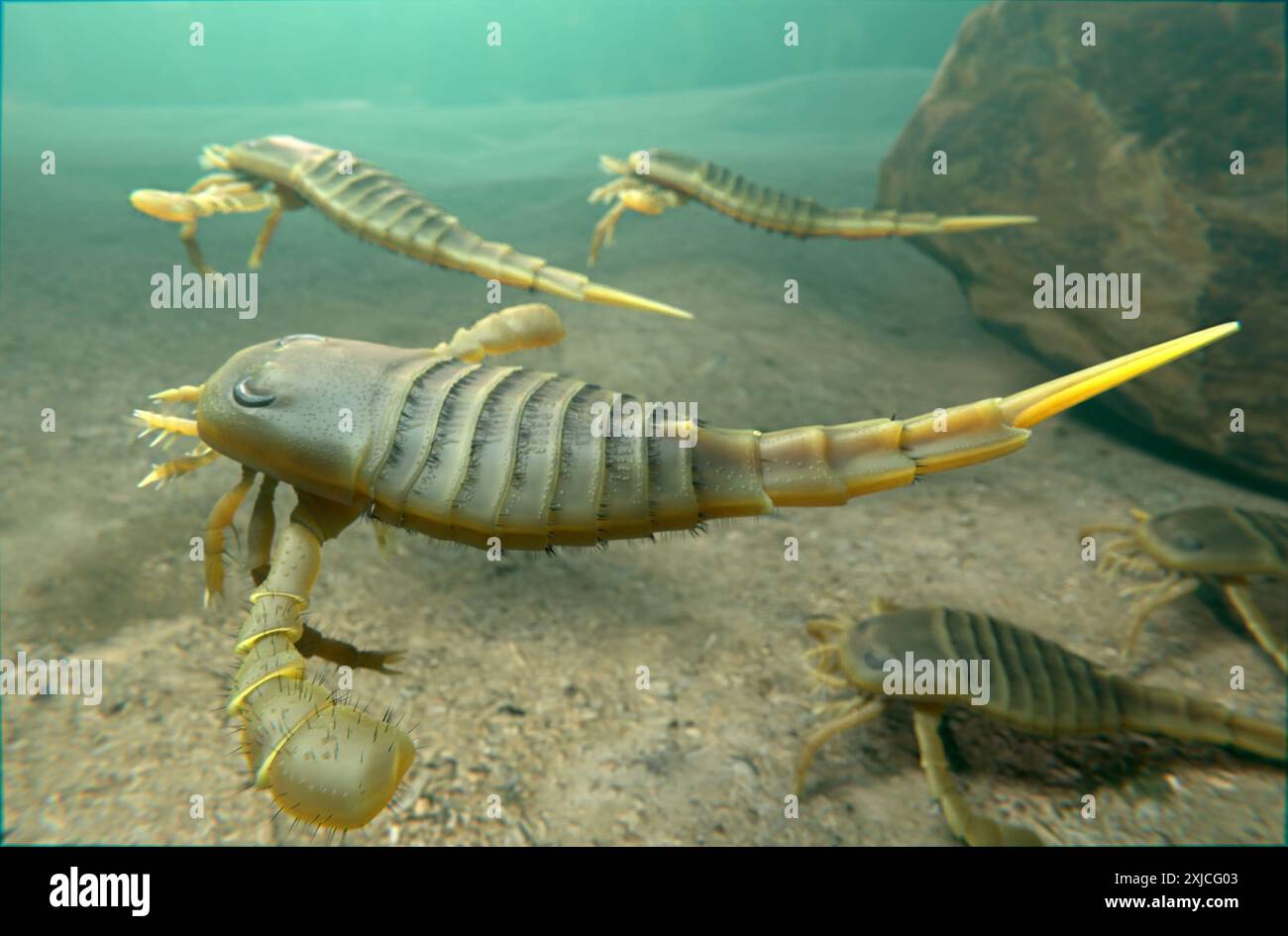 An illustration of Eurypterids (Sea Scorpions) swimming on a Silurian ...