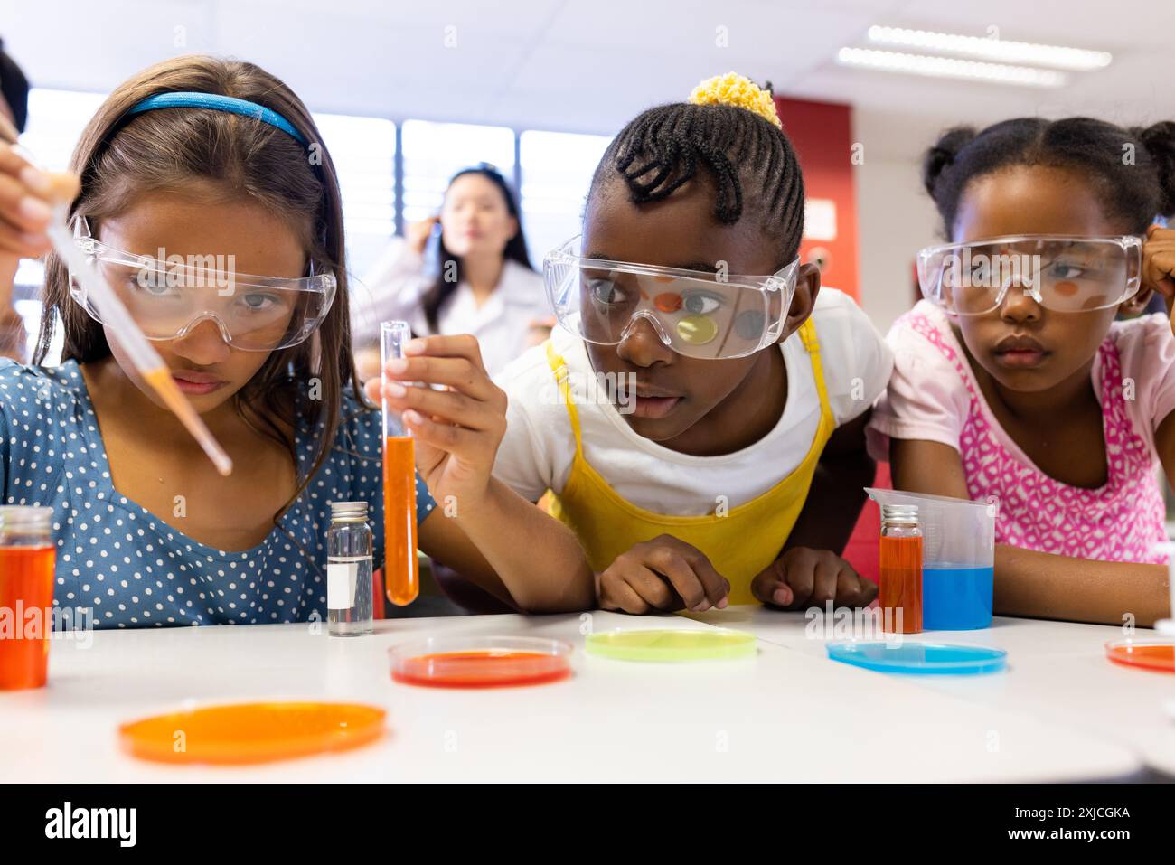 Multiracial schoolgirls with test tubes and petri dishes doing ...