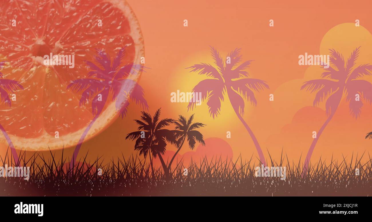Composition of halved grapefruit over palm trees and sunset landscape ...