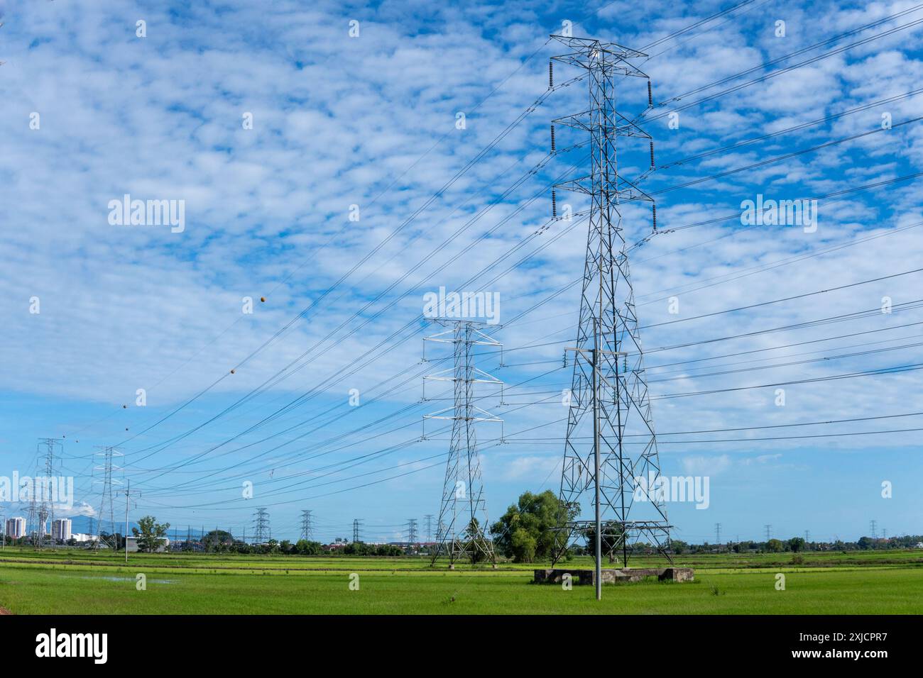 A row of high-voltage electricity pylons traversing a green field ...