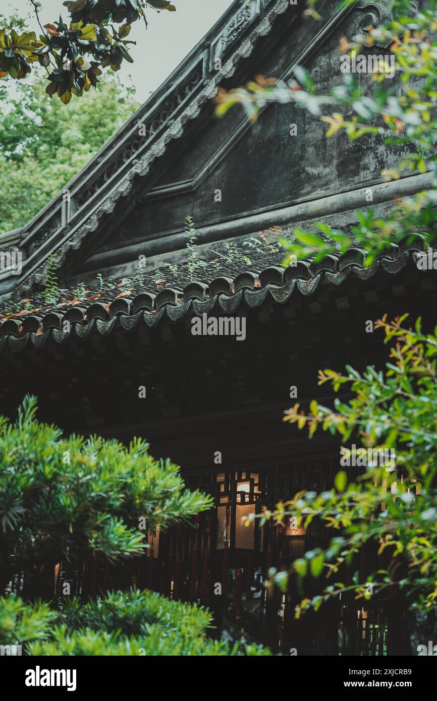 A close-up of a traditional Chinese building with a tiled roof covered ...