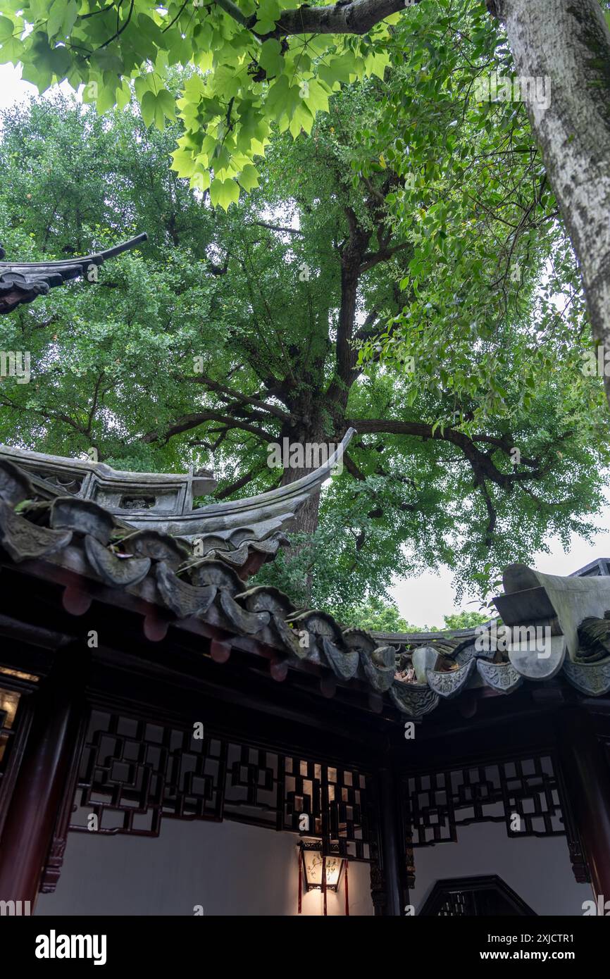 Shanghai, China - June 06, 2024 : A glimpse of the Yu Garden in ...
