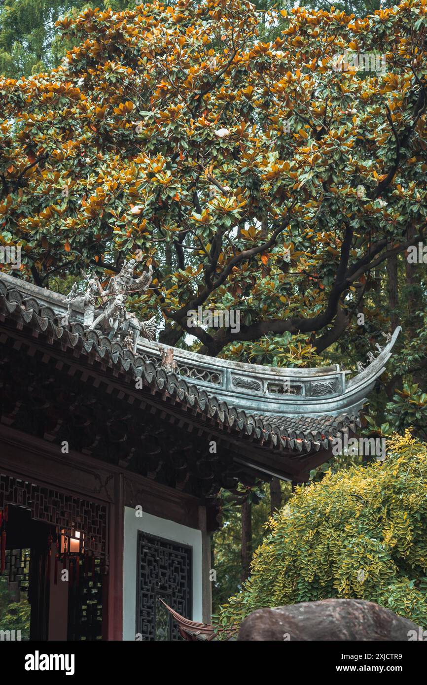 Shanghai, China - June 06, 2024 : A traditional Chinese roof with ...