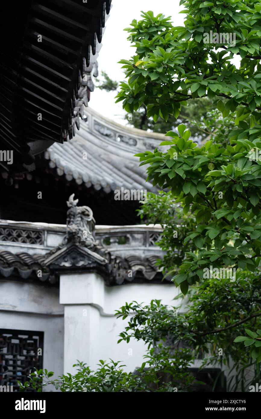 Shanghai, China - June 06, 2024 : A glimpse of the intricate ...