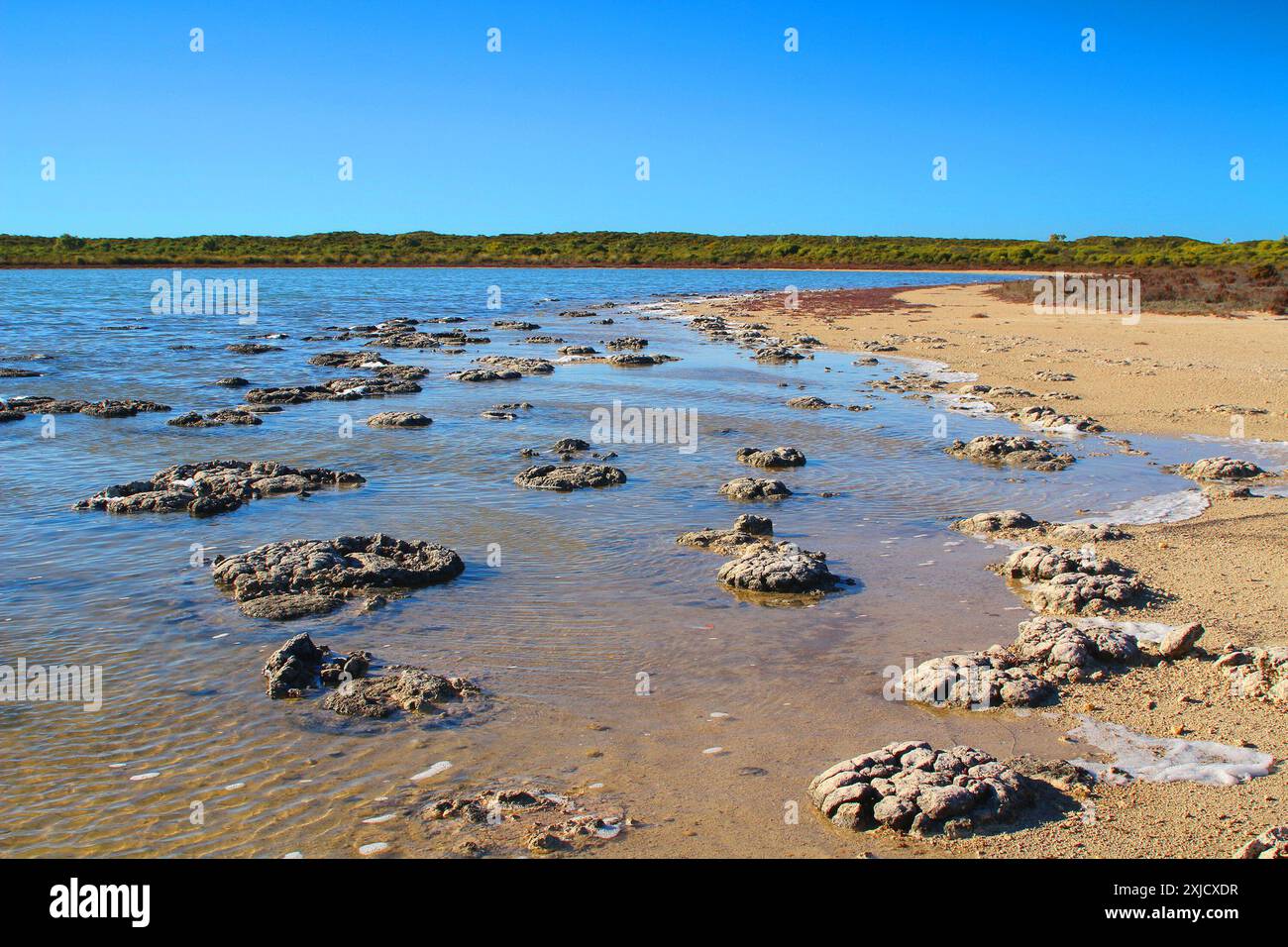 Modern stromatolites landscape hi-res stock photography and images - Alamy