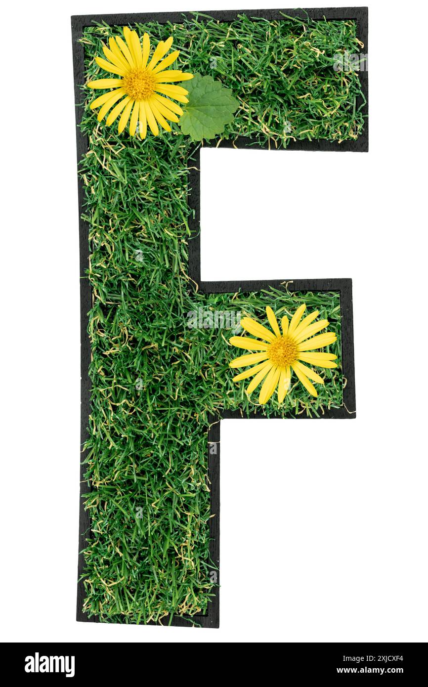 Letter F made of green grass with flowers isolated on a transparent ...