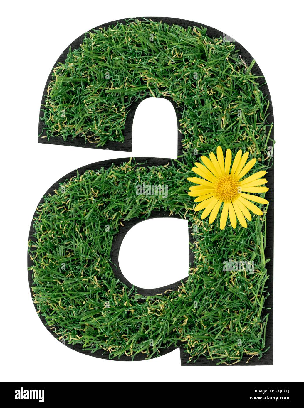 Letter A made of green grass isolated on a transparent background Stock ...