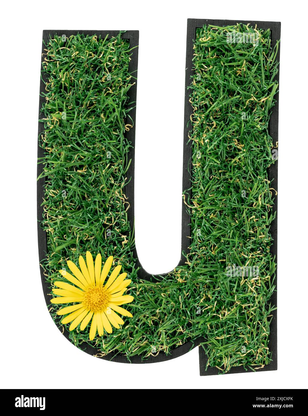Letter U made of green grass with flowers isolated on a transparent ...