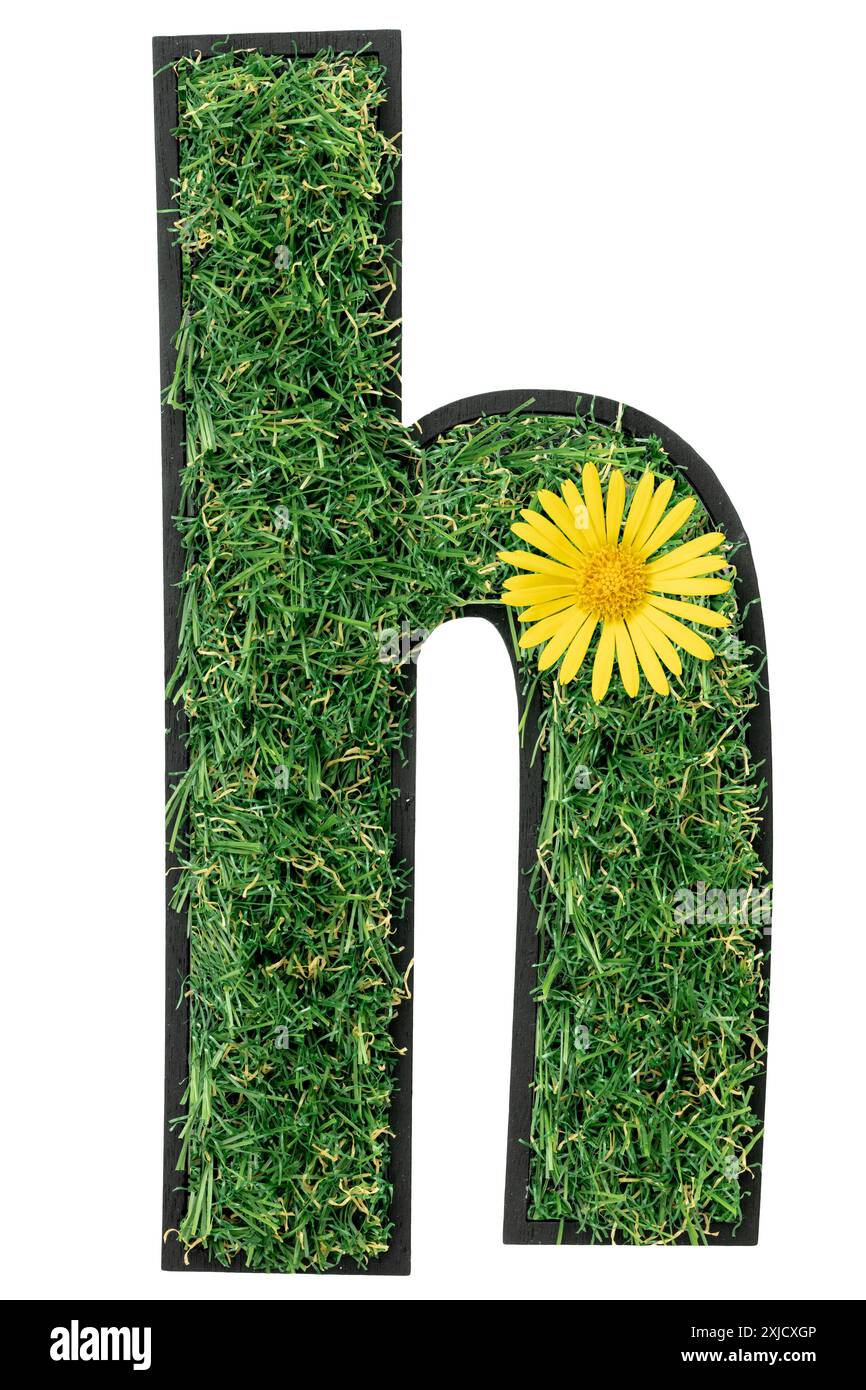 Letter H made of green grass with flowers isolated on a transparent ...