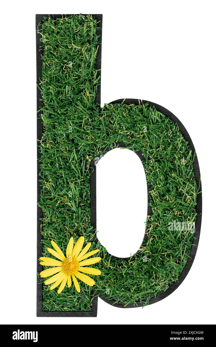 Letter B made of green grass isolated on a transparent background Stock ...