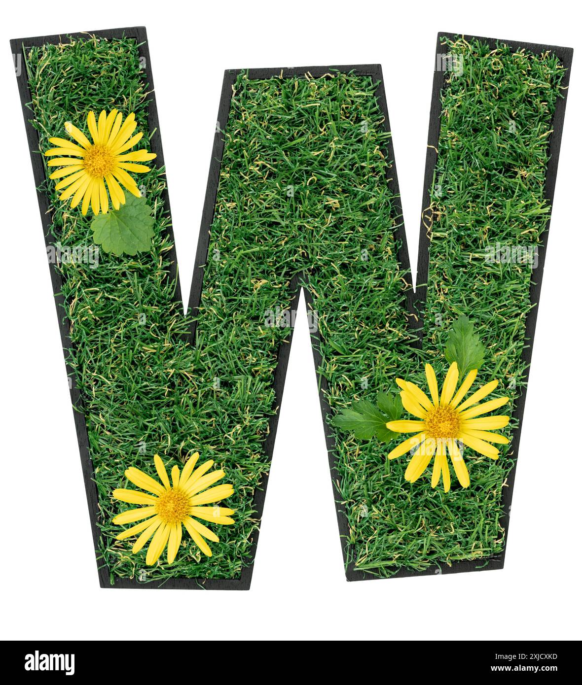 Letter W made of green grass with flowers isolated on a transparent ...