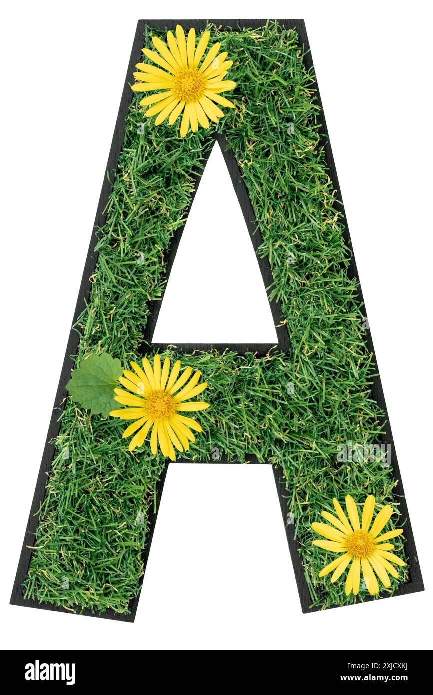 Letter A made of green grass isolated on a transparent background Stock ...
