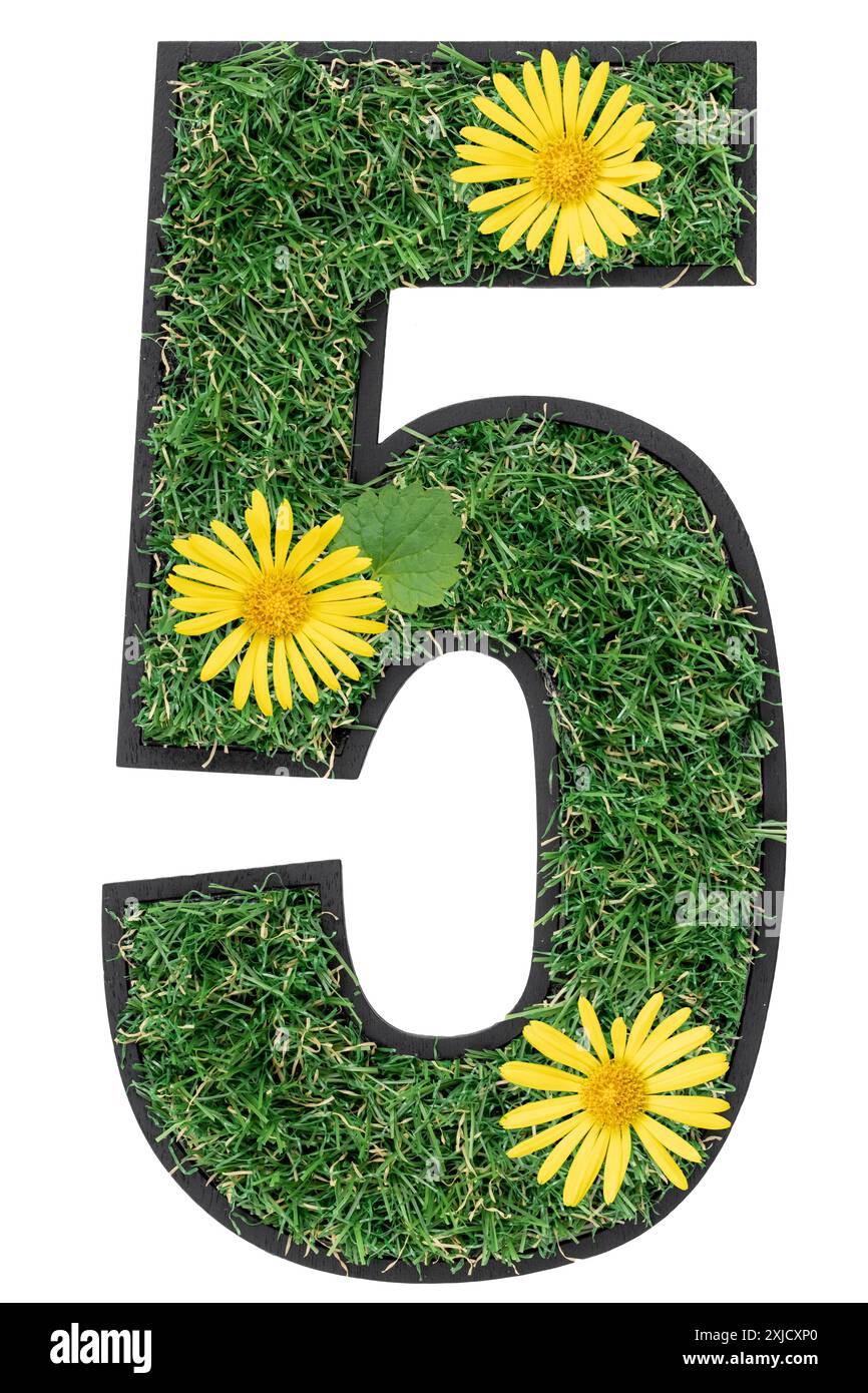 Number five flowers hi-res stock photography and images - Alamy