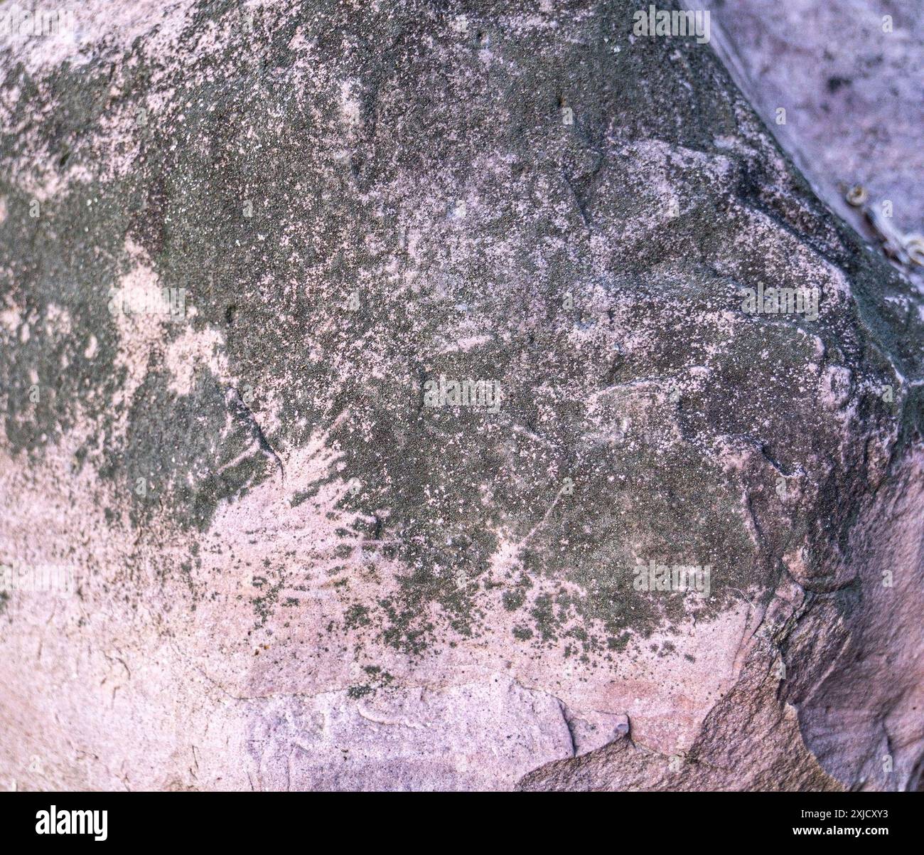 Detailed photo of granite stone surface. Close up texture of natural ...