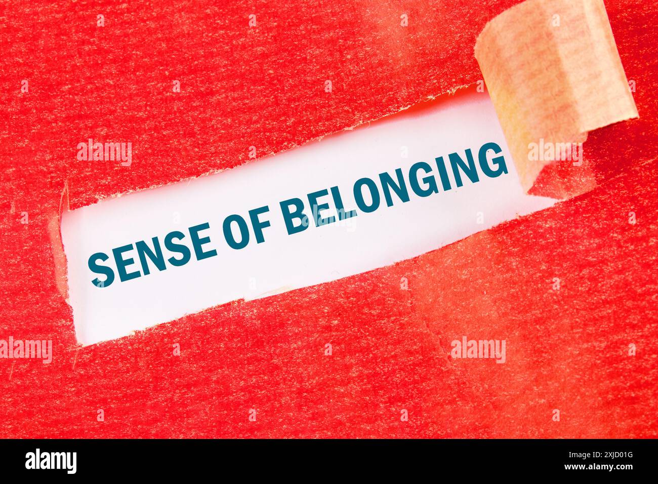 . Business, sense of belonging concept. Copy space. SENSE OF BELONGING ...