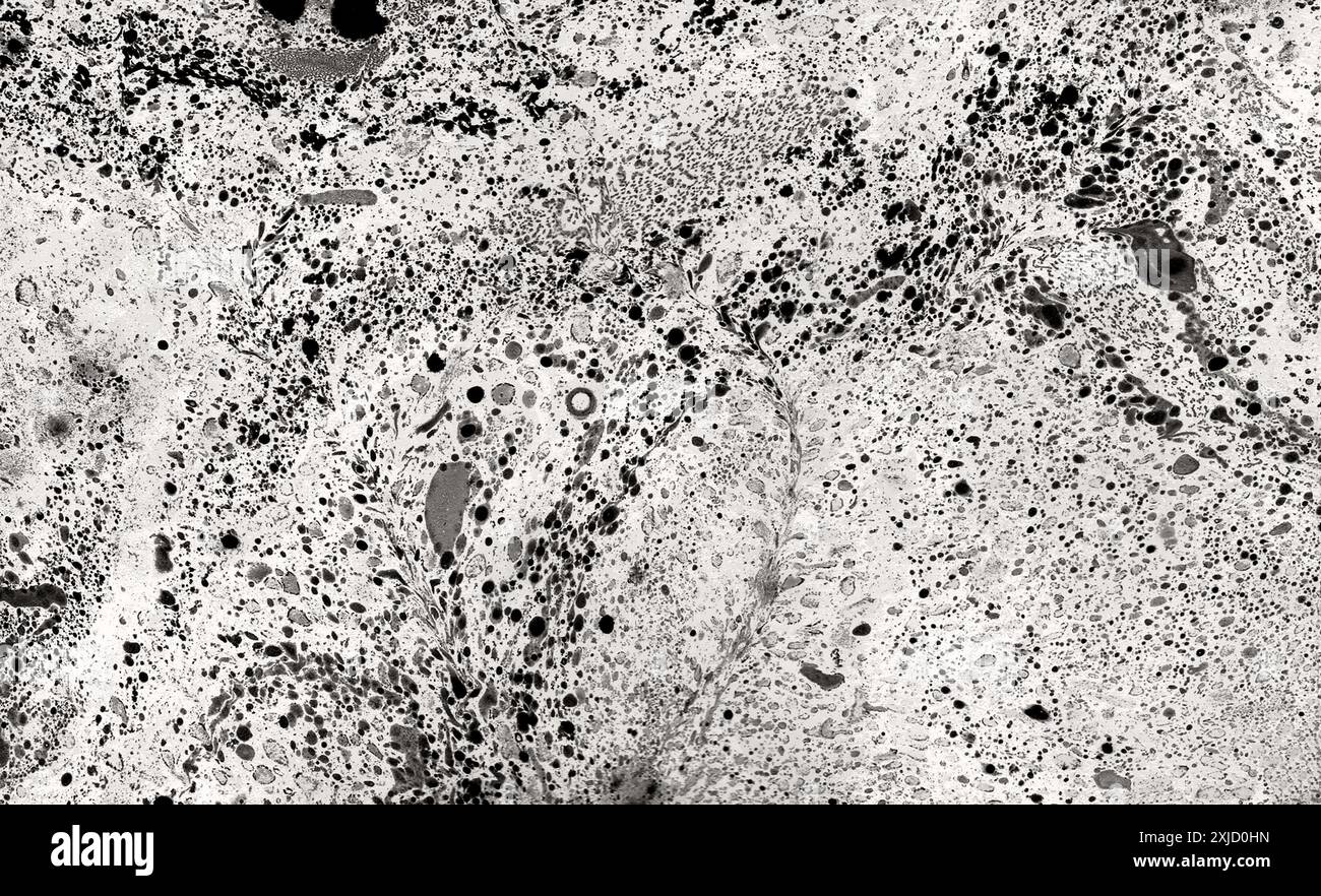 Abstract texture marble background. Filled with black dots on white ...