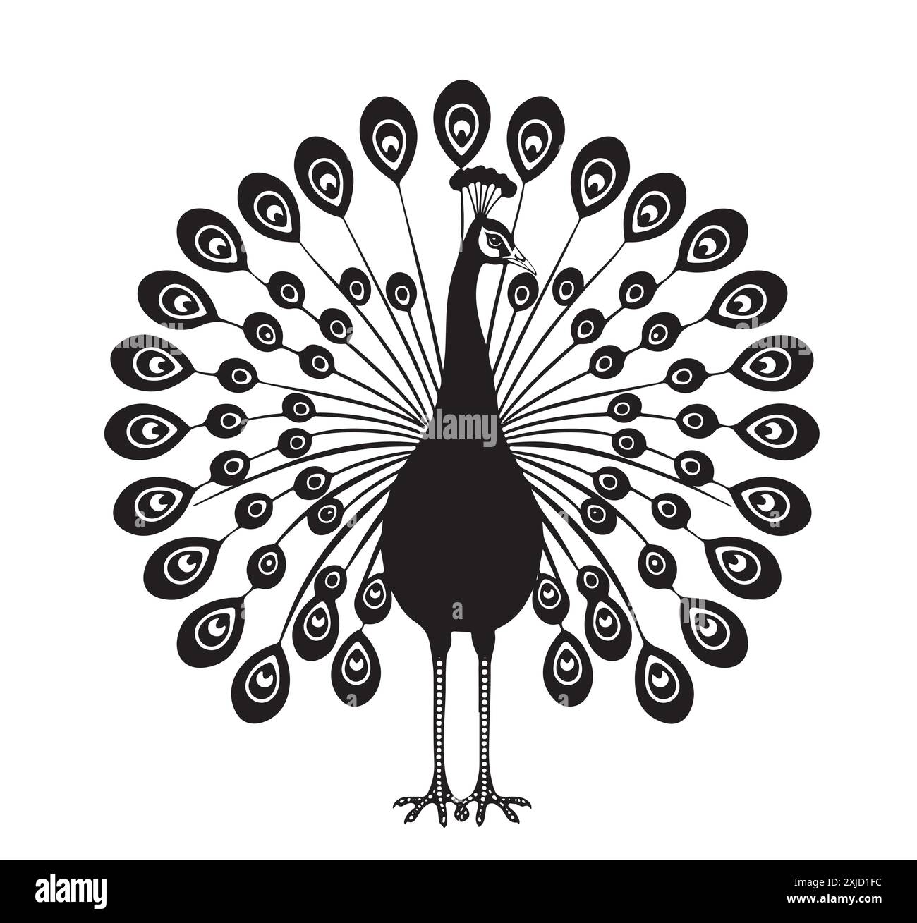 Peacock Line Drawing Peacock Drawing With White And Black