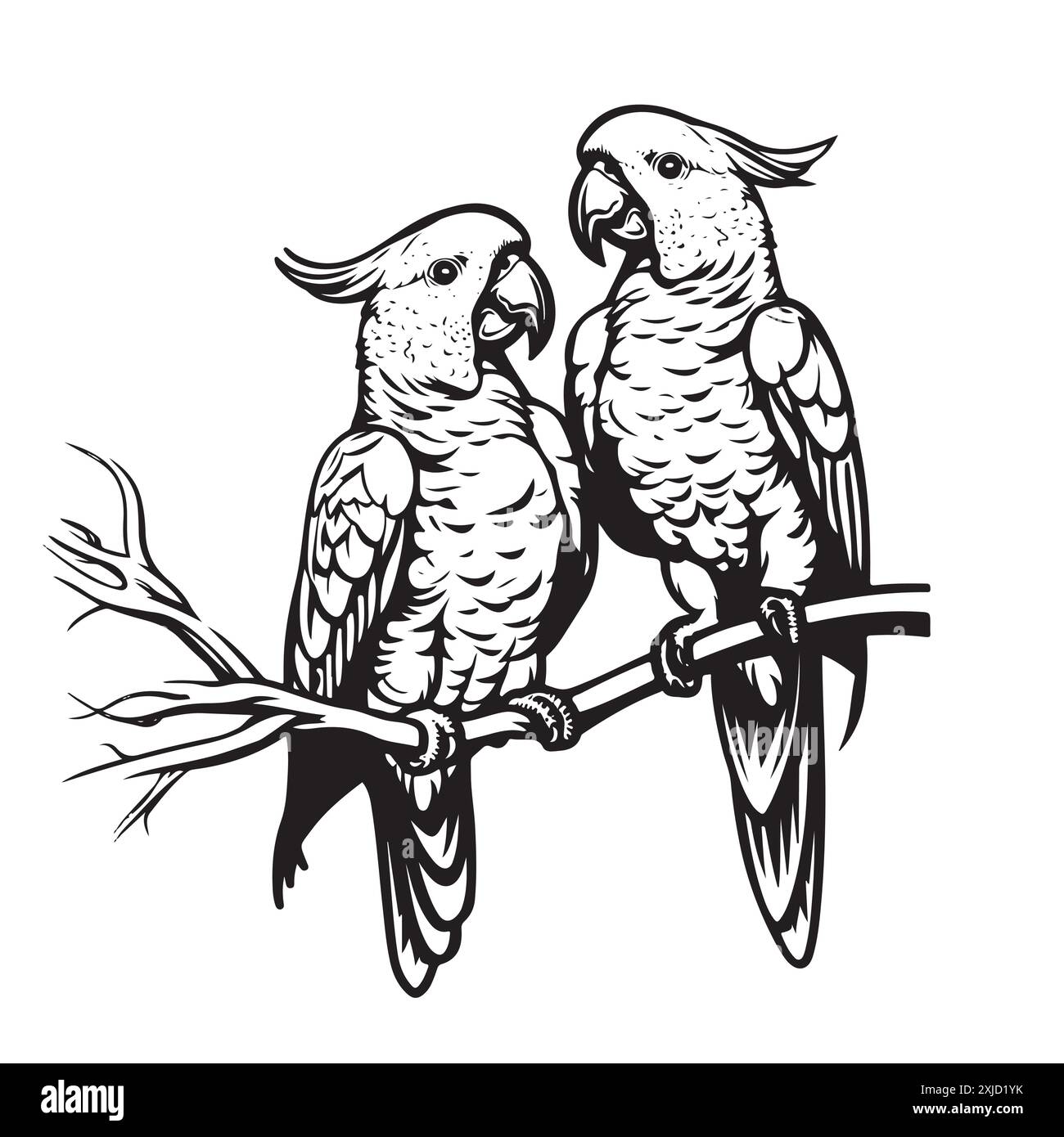 Two beautiful exotic sketch parrot. hand-drawn illustration Stock ...