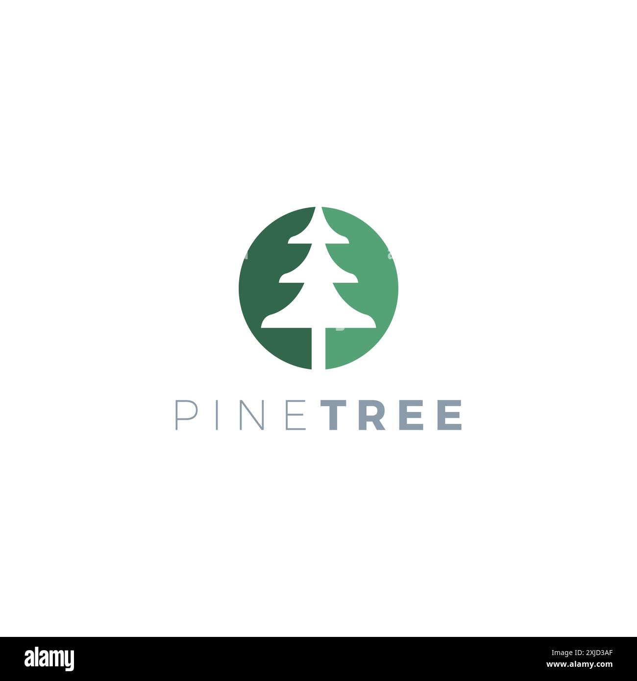 Pine Tree Logo vector. Pine Icon Design Stock Vector Image & Art - Alamy