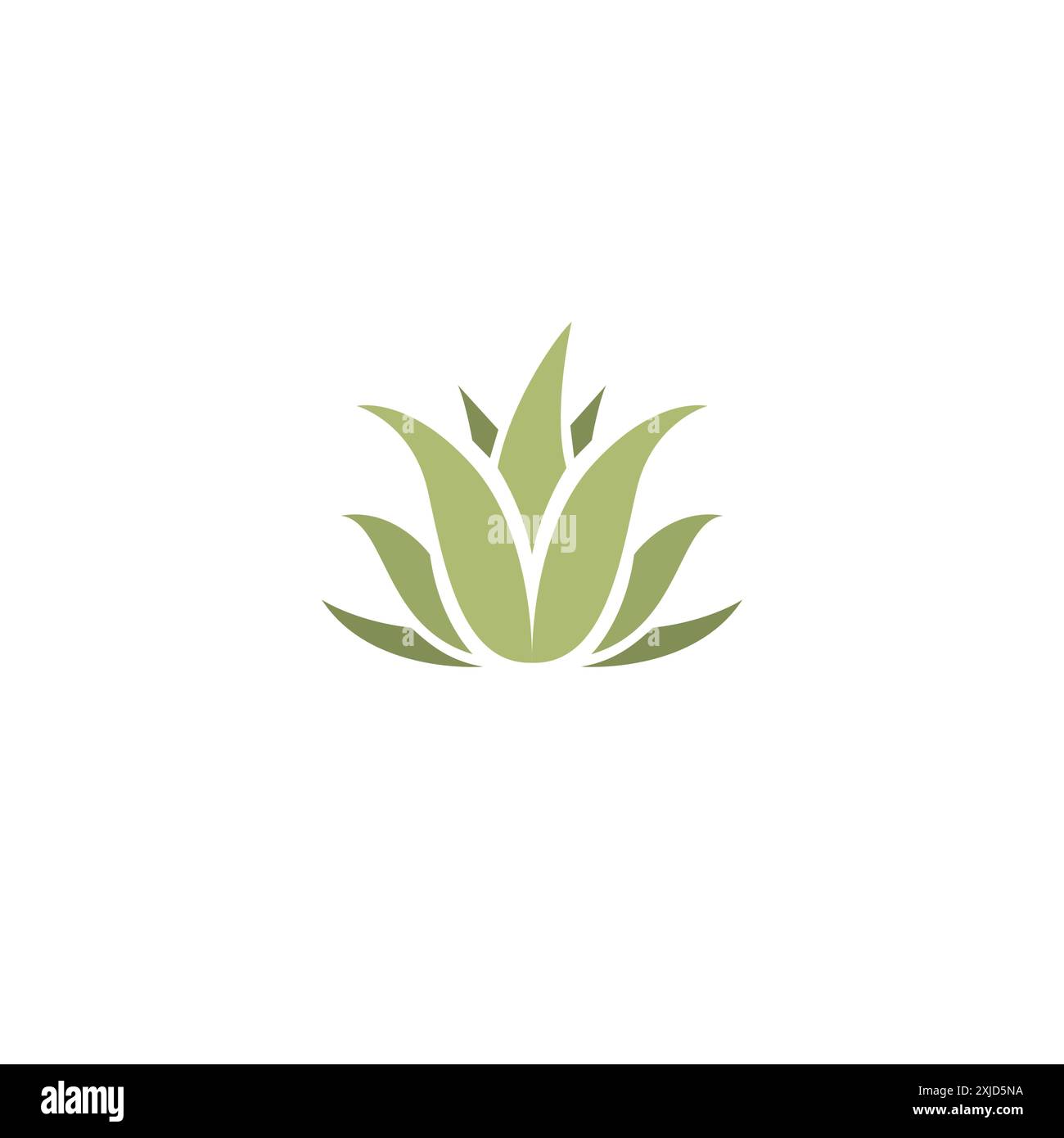 Aloe Vera Logo Design. Aloe Icon Vector Stock Vector Image & Art - Alamy