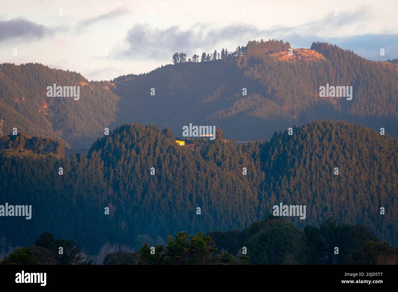 Akatarawa hi-res stock photography and images - Alamy