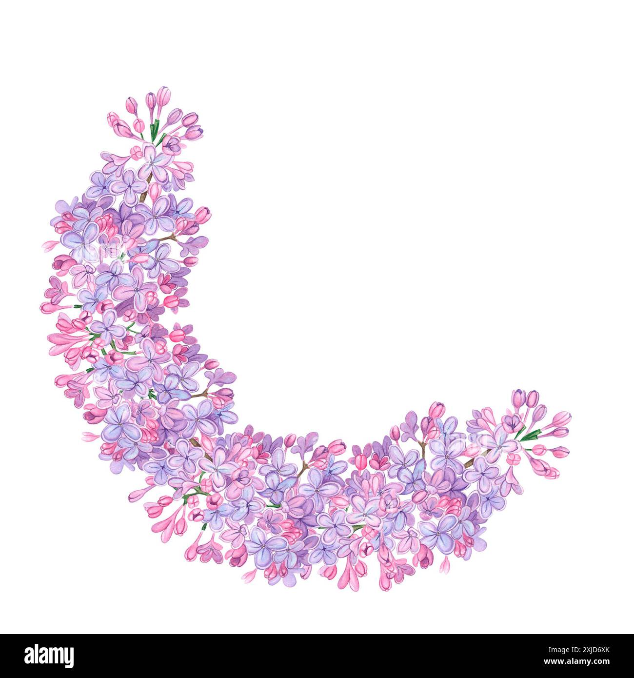 Frame watercolor purple flowers hi-res stock photography and images - Alamy