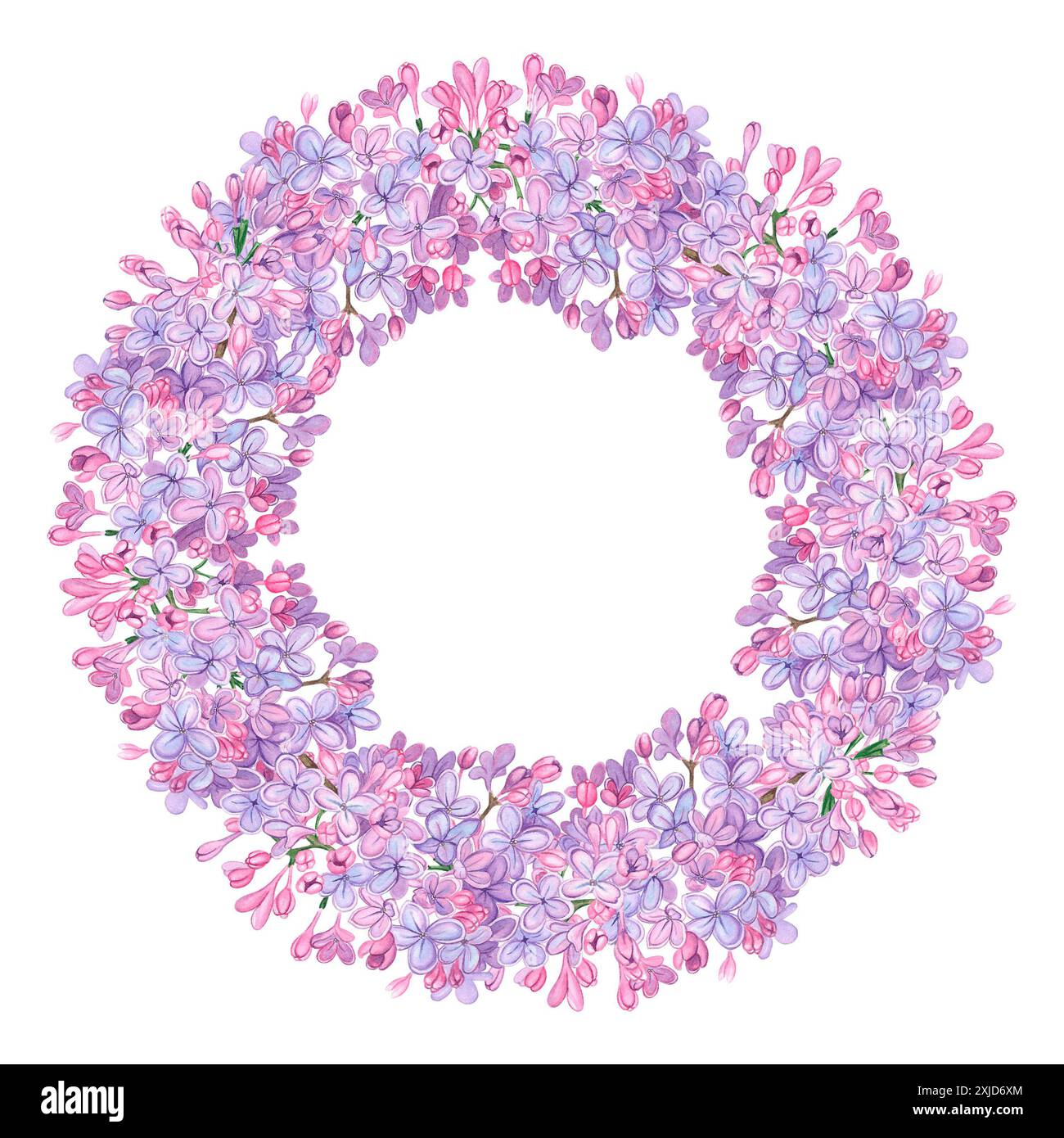 Frame watercolor purple flowers hi-res stock photography and images - Alamy
