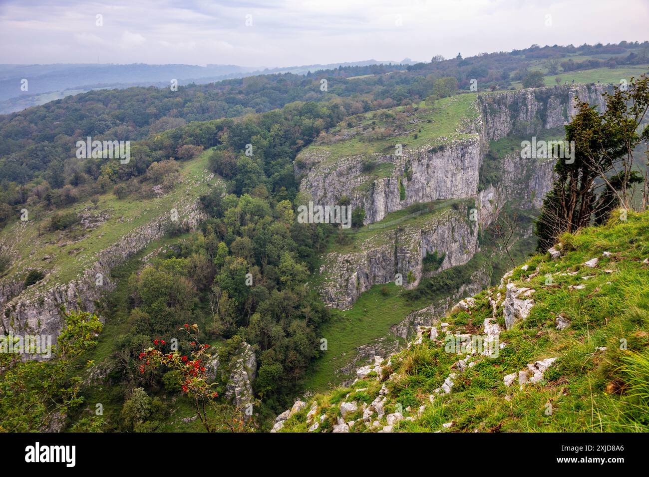 Cheddar gorge and caves, view of limestone gorge from cliff top walk ...