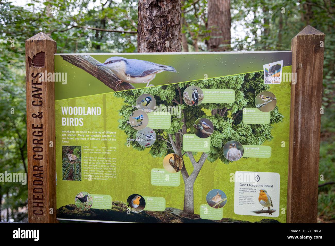 Information board uk woodland hi-res stock photography and images - Alamy