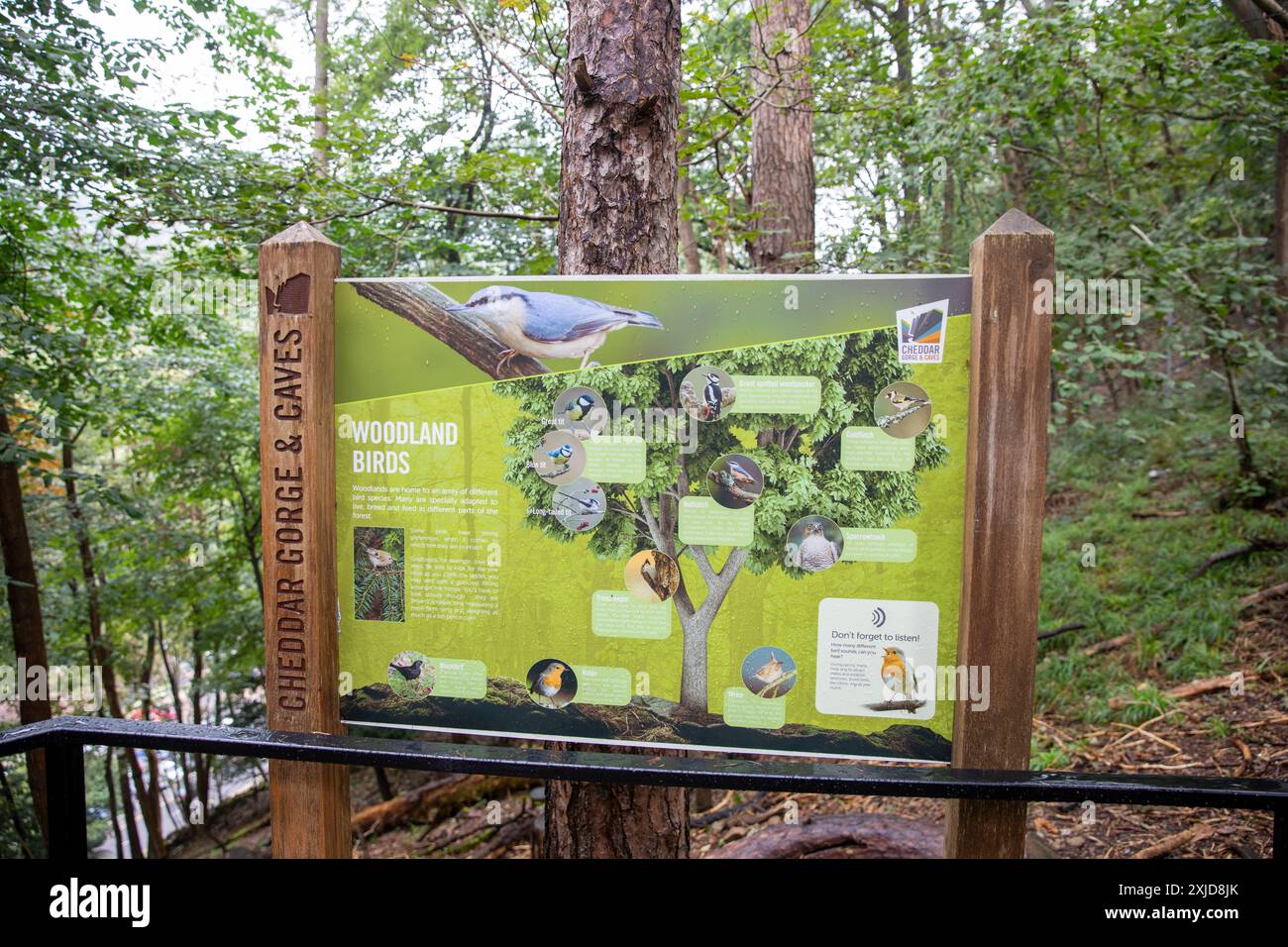 Information board uk woodland hi-res stock photography and images - Alamy