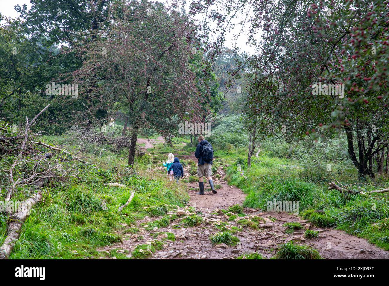 Cheddar Gorge and caves cliff top walk, father with very young children ...