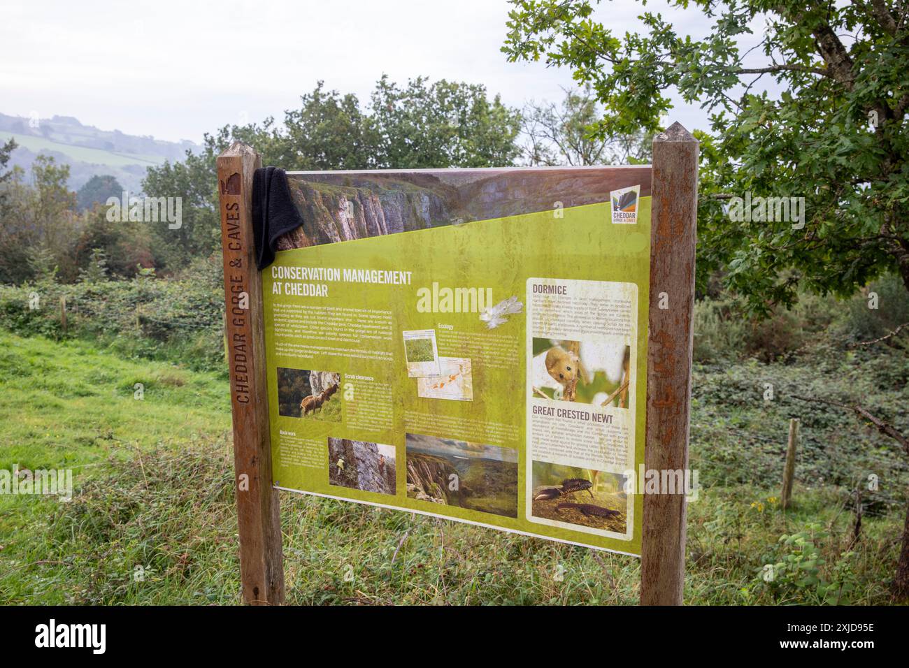 Cheddar gorge and caves, tourist information sign for conservation ...