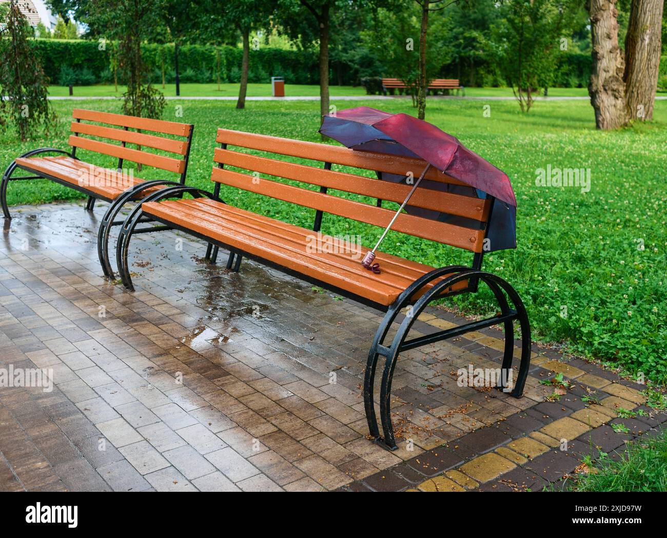 A forgotten opened umbrella on a bench after rain in a city park Stock Photo - Alamy