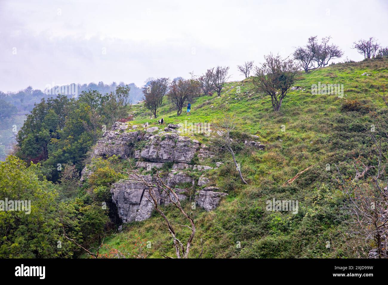 Cheddar gorge and caves cliff top walk, Mendip Hills,Somerset,England ...
