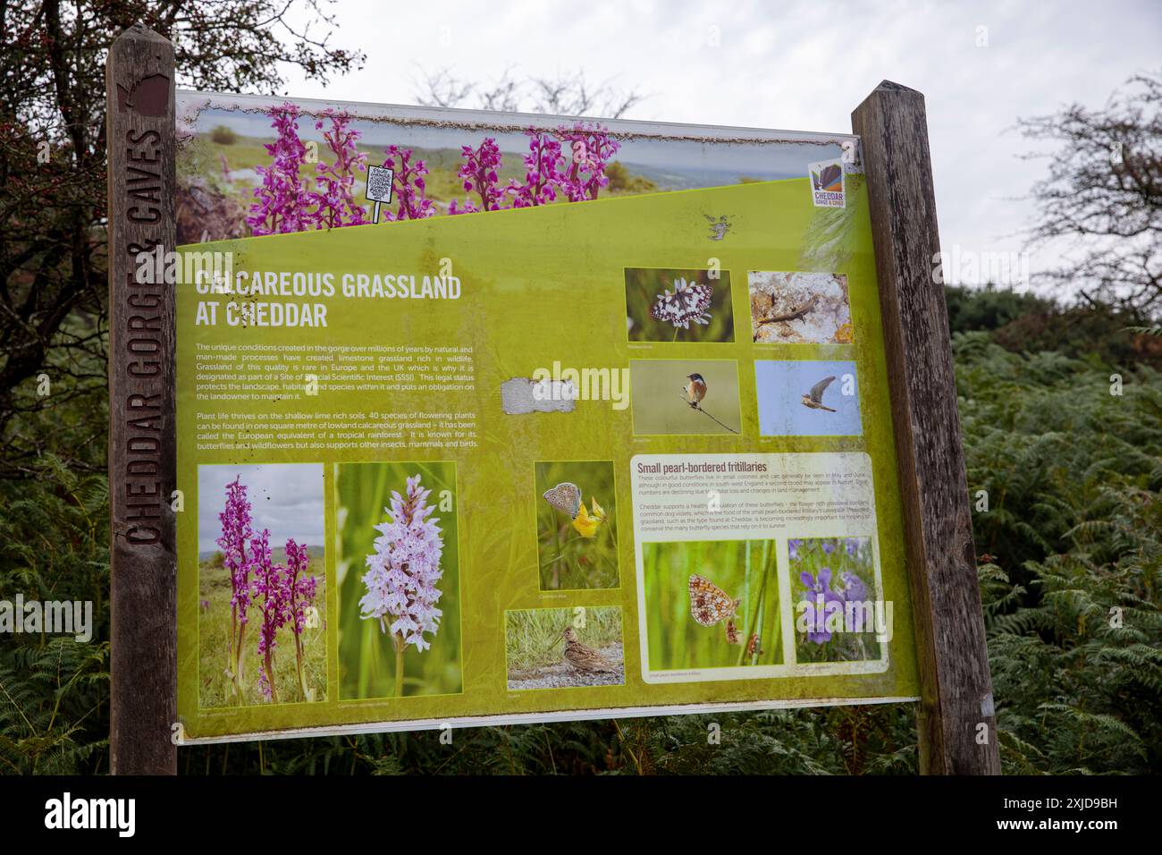 Cheddar Gorge and Caves, calcareous grassland information sign on the ...