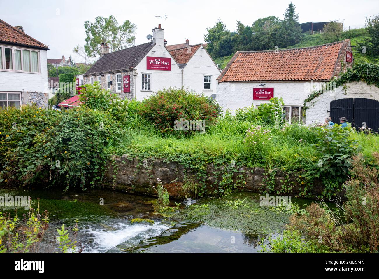 White hart cheddar hi-res stock photography and images - Alamy